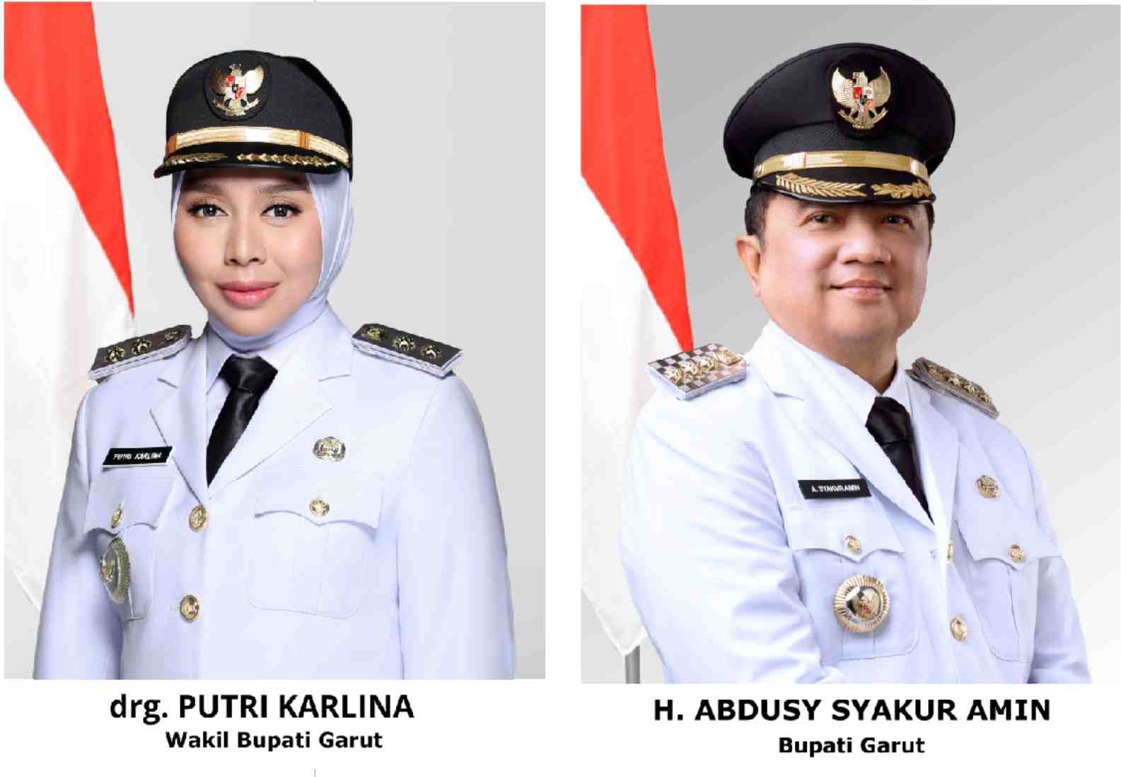 PROFIL BUPATI DAN WAKIL.